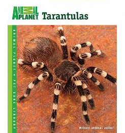 Resources | Tom's Big Spiders
