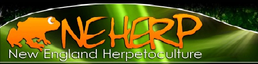 NE Herp – A Review | Tom's Big Spiders