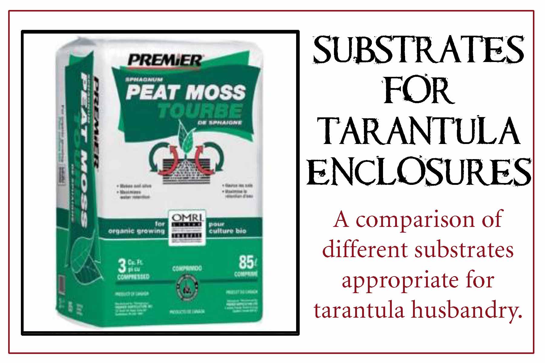 Beginner Guides | Tom's Big Spiders