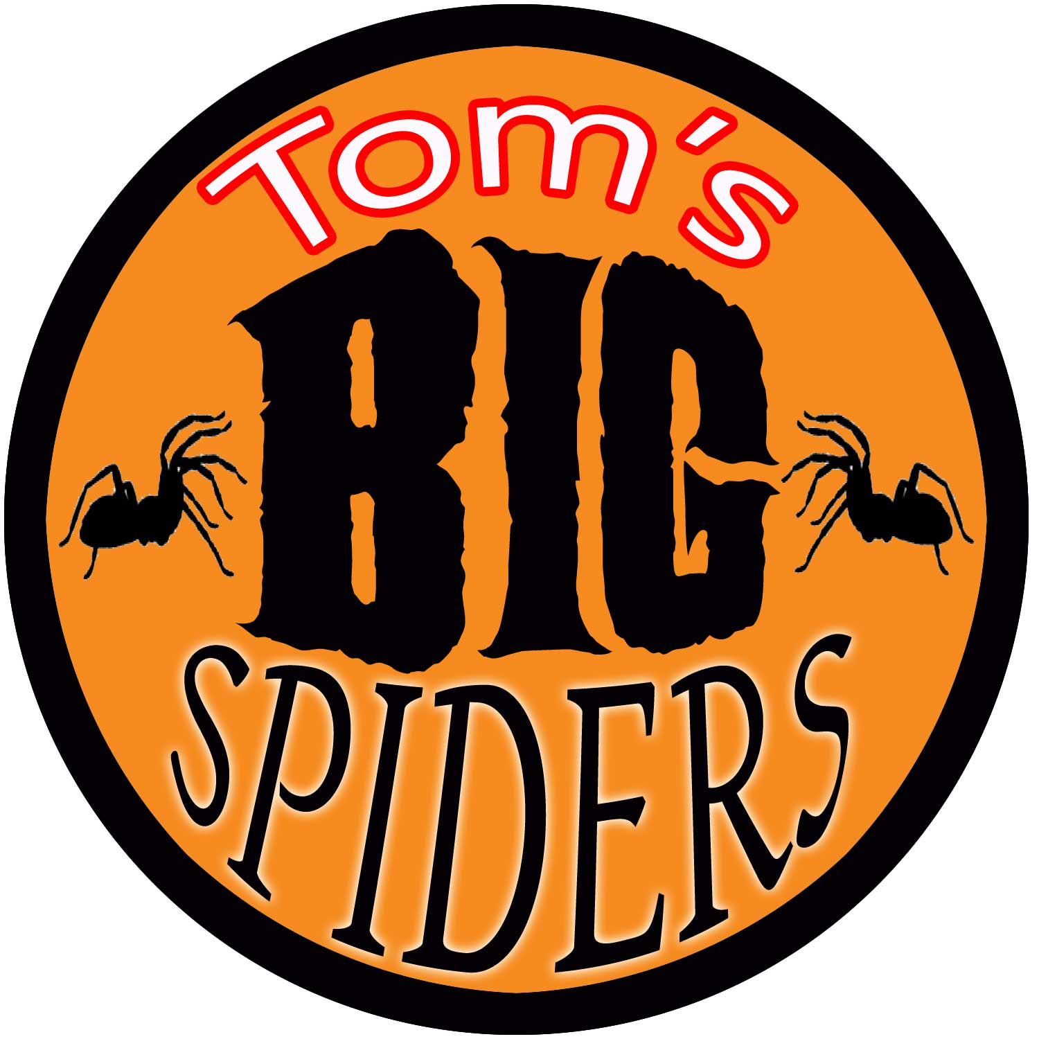 Tom’s Big Spiders – Logo Poll! | Tom's Big Spiders