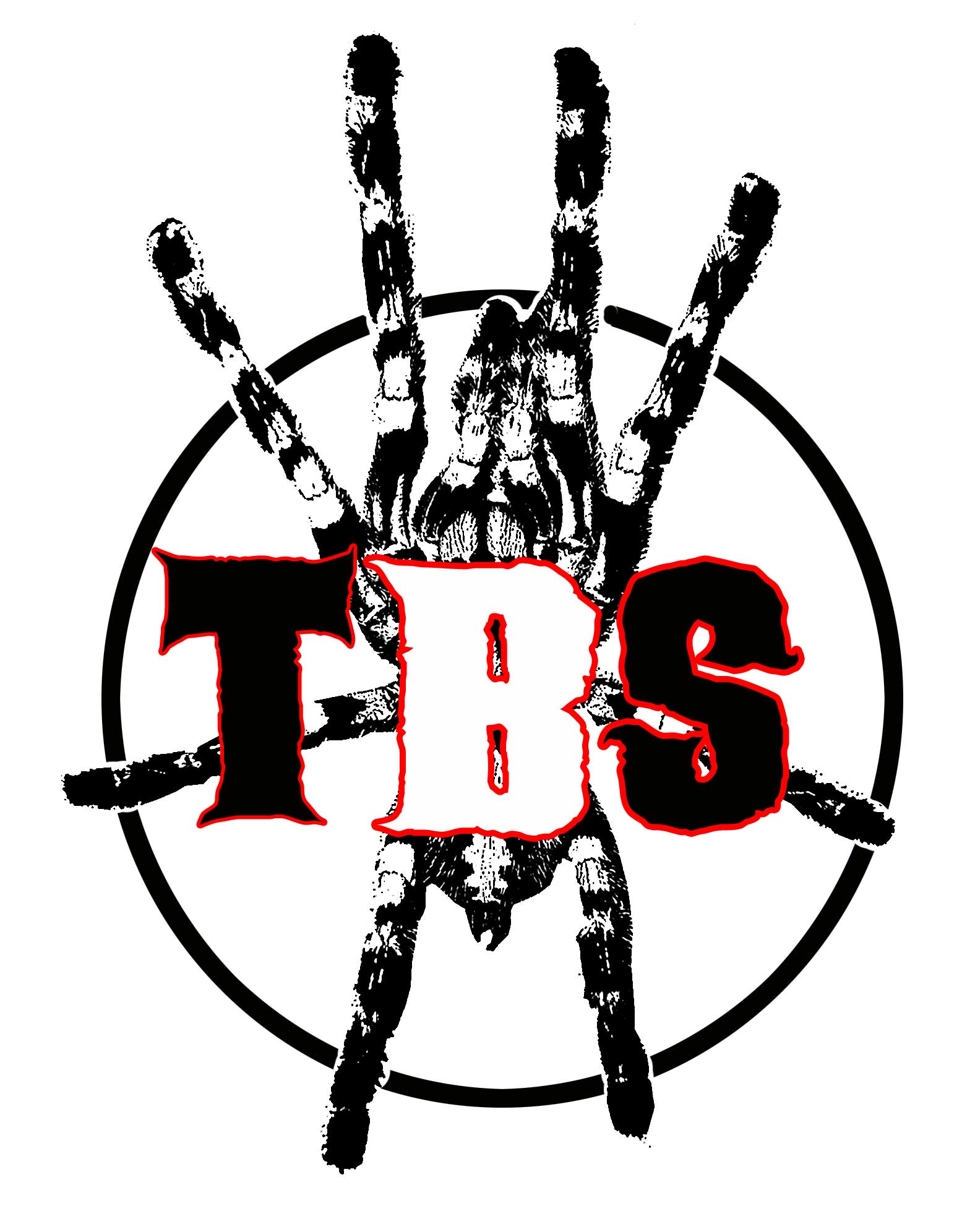 Tom’s Big Spiders – Logo Poll! | Tom's Big Spiders